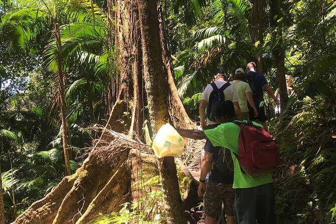 Hiking Mount Liamuiga Volcano in St Kitts - FAQ
