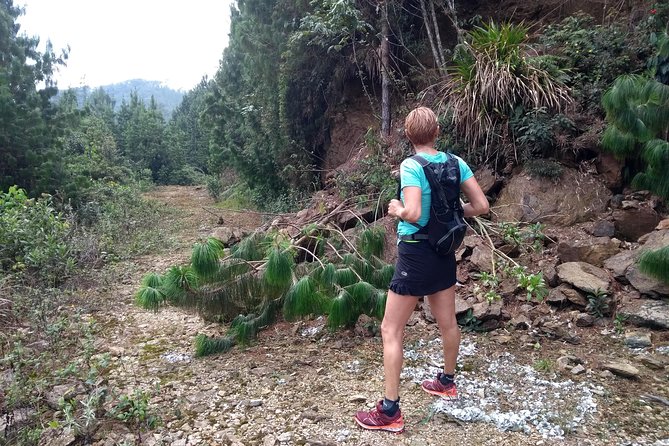 Hiking Mountains and Magical Forests - Uncovering the Secrets of the Flora and Fauna