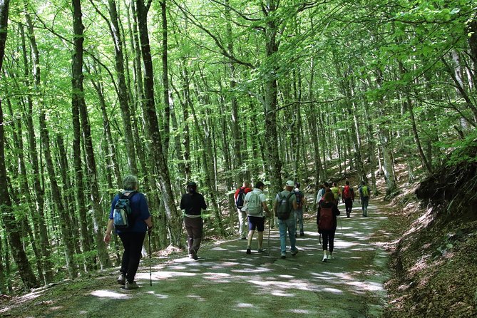 Hiking on Faito Mountain from Sorrento - FAQ