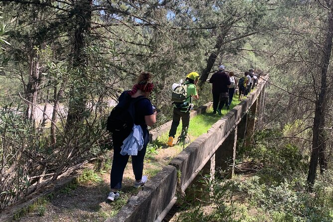 Hiking on Rhodes countryside. Discover the flora, fauna, history, tradition - FAQ