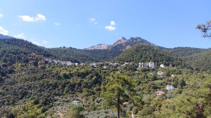 Hiking on Thasos Island - Authentic Experiences & Reviewer Insights