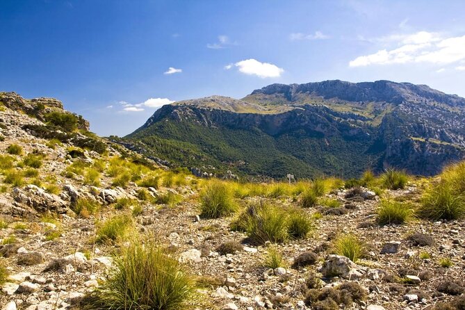 Hiking Private Tour in Pollensa - What Makes This Hiking Tour Stand Out?