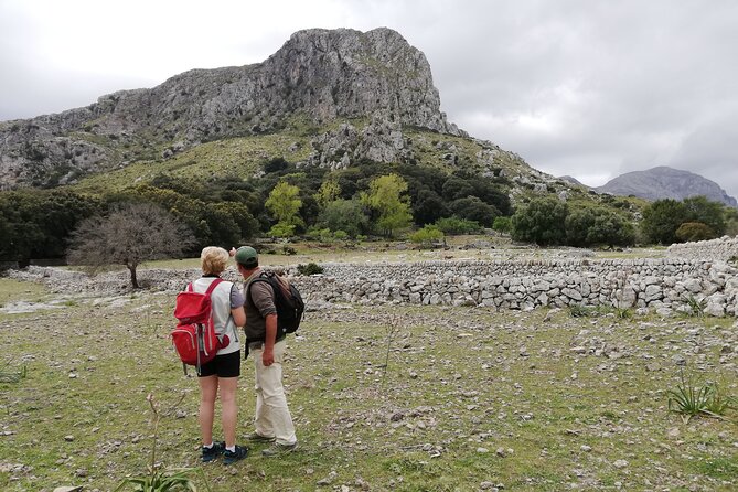 Hiking Private Tour in Pollensa - Guides and Authentic Experiences