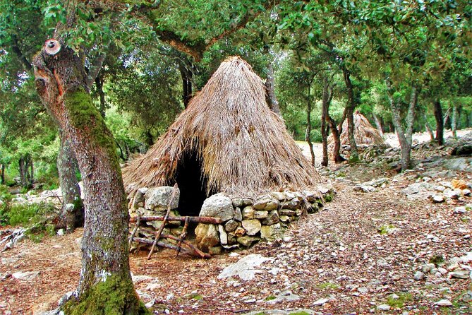 Hiking Private Tour in Pollensa - The Value for Money