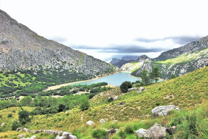 Hiking Private Tour in Pollensa - Who Is This Tour Best For?