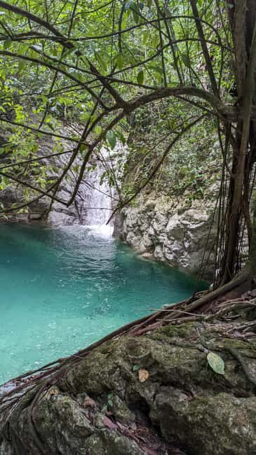 Hiking Tabernacle Thundering Waterfall - Is This Tour Right for You?