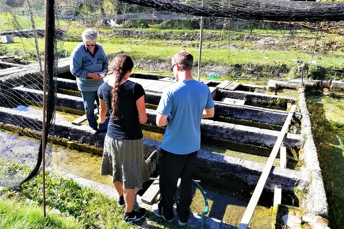 Hiking the Highest Waterfall in EU Hike, Rome - Meeting and Pickup Details