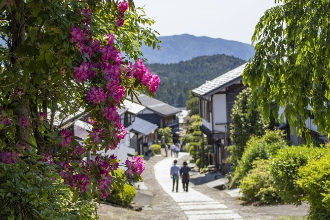 Hiking the Historic Nakasendo Trail- 1 Day Tour From Nagoya - Booking Information