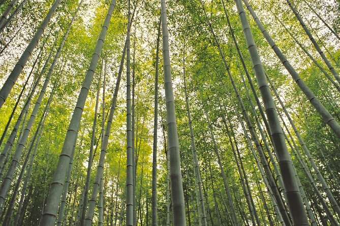 Hiking the Historic Nakasendo Trail- 1 Day Tour From Nagoya - What to Expect on the Hike