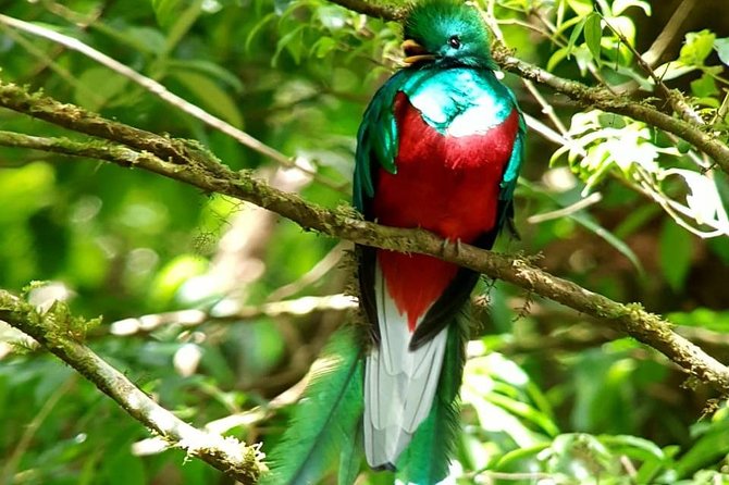 Hiking to Curi-Cancha Reserve - Reviews and Ratings