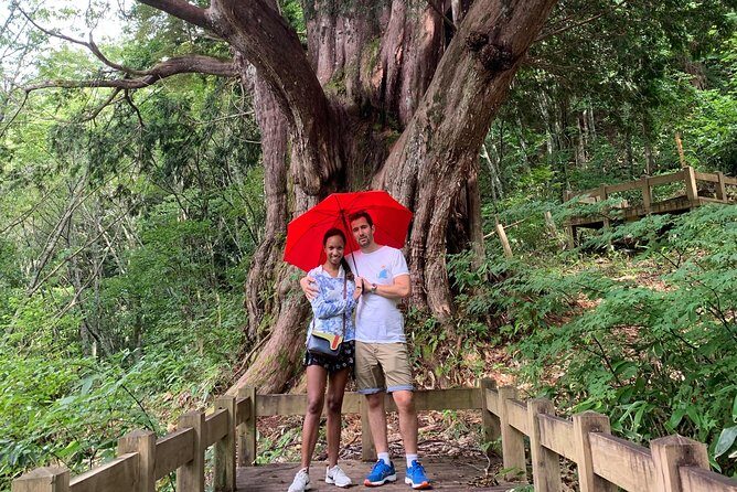 Hiking tour around Takayama city (About 3 hours) - What Makes This Hiking Tour Special