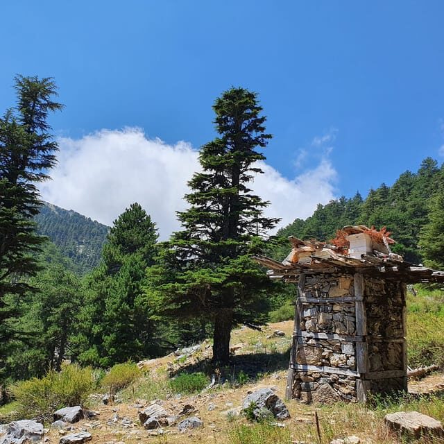Hiking Tour At The Taurus Mountains of Alanya - Practical Details and Value