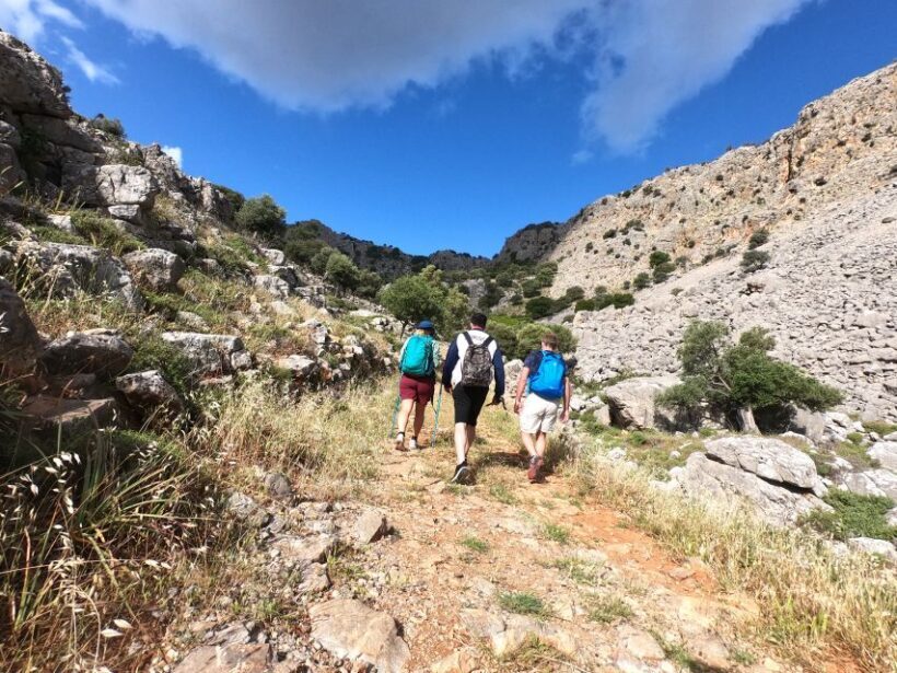 Hiking Tour Exploring Lindos - Who Should Consider This Tour?