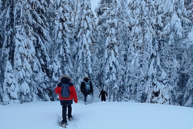 Hiking Tour in Nuuksio National Park With Meal and Snacks - Delicious Meals and Snacks Included