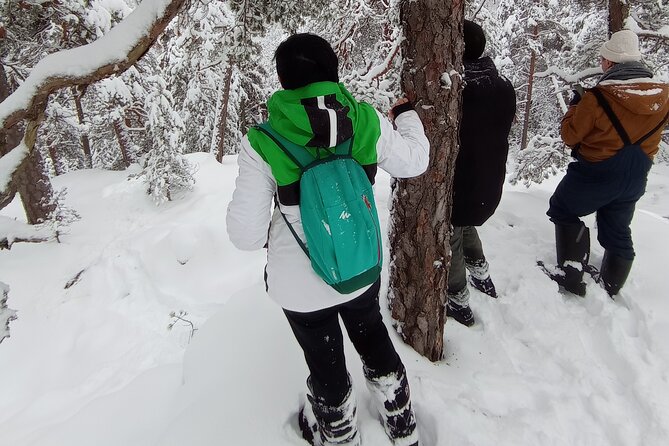 Hiking Tour in Nuuksio National Park With Meal and Snacks - Group Size and Personalization