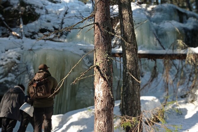 Hiking Tour in Nuuksio National Park With Meal and Snacks - Seasonal Activities and Foraging Opportunities