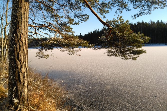 Hiking Tour in Nuuksio National Park With Meal and Snacks - Accessibility and Recommendations