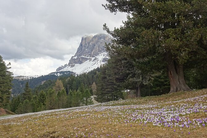 Hiking tour in the World Natural Heritage Unesco Dolomites - The Sum Up