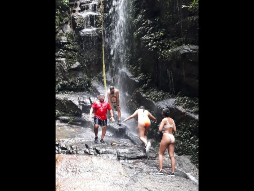 Hiking Tour in Tijuca Forest: Waterfalls, Views & Picnic - What Reviewers Say