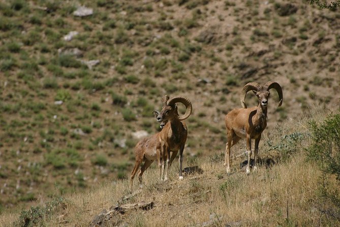 Hiking tour to Hayat, Uhum and Asraf villages  4 days - FAQ