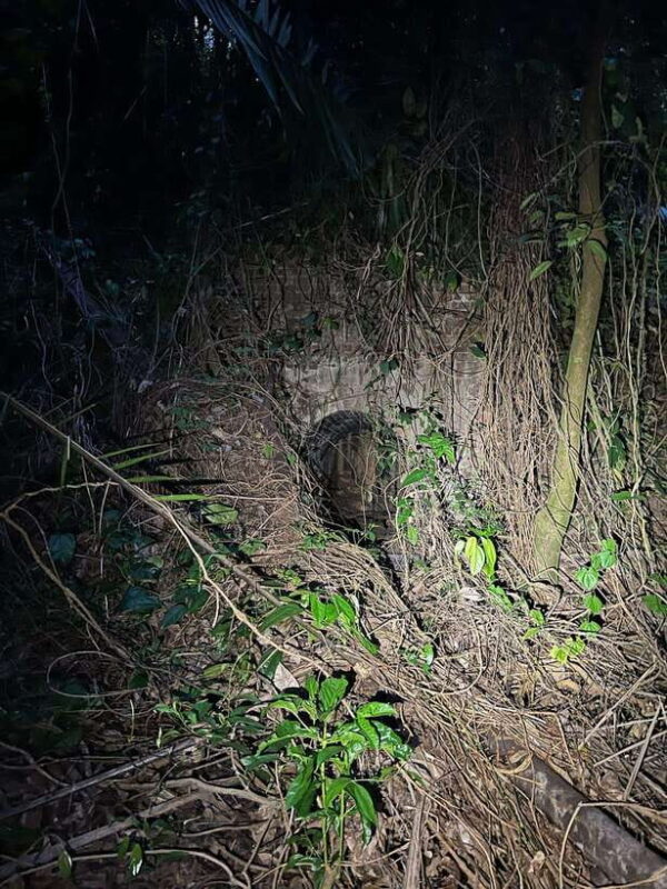 Hiking Tour to Seah Im bunker, Mount Faber and Henderson - The Panoramic Heights of Mount Faber