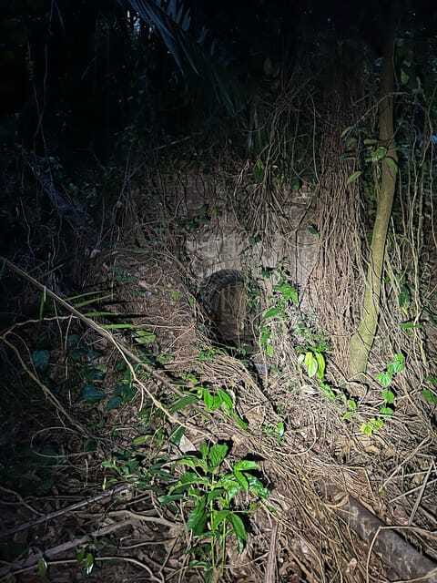 Hiking Tour to Seah Im bunker, Mount Faber and Henderson - Final Thoughts