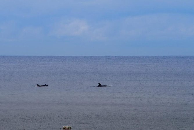 Hiking Tour to the Paradise Beach - Pricing and Value