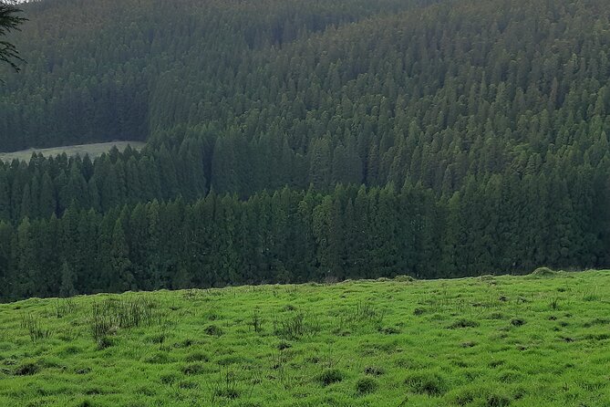 Hiking Trail Black Mysteries | Terceira Island - Booking and Cancellation Policy