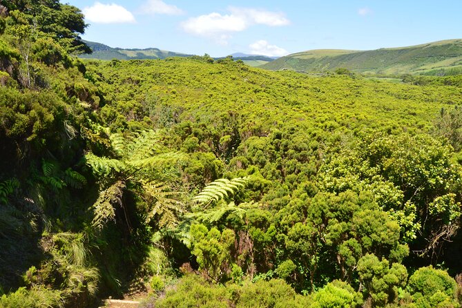 Hiking Trail: Passagem das Bestas - Terceira Island - Who Will Enjoy This Experience Most?