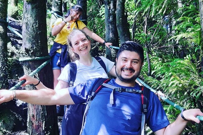 Hiking Trail Rocha Do Chambre | Terceira Island - Meeting and Pickup