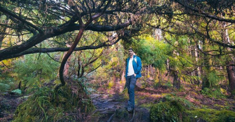 Hiking Trails - Exploring Terceira Island on Foot: What Makes This Tour Special