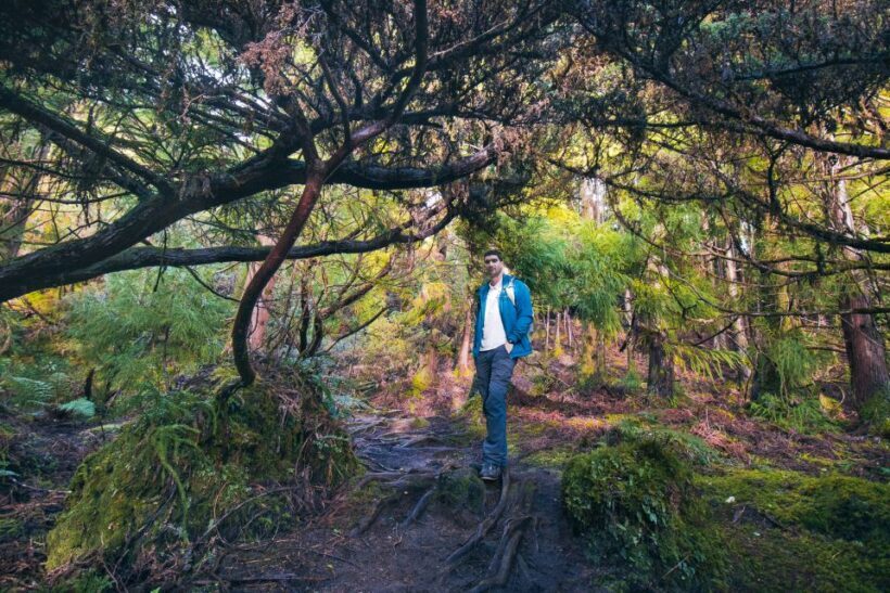 Hiking Trails - What’s Included and How It Adds Value
