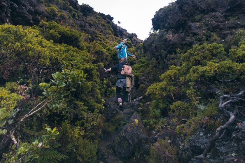Hiking Trails - Who Should Consider This Tour?