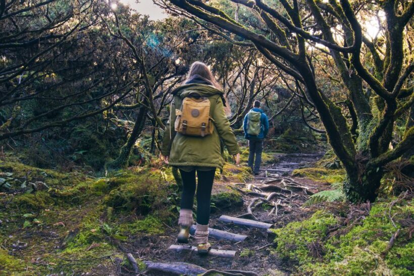 Hiking Trails - Final Thoughts