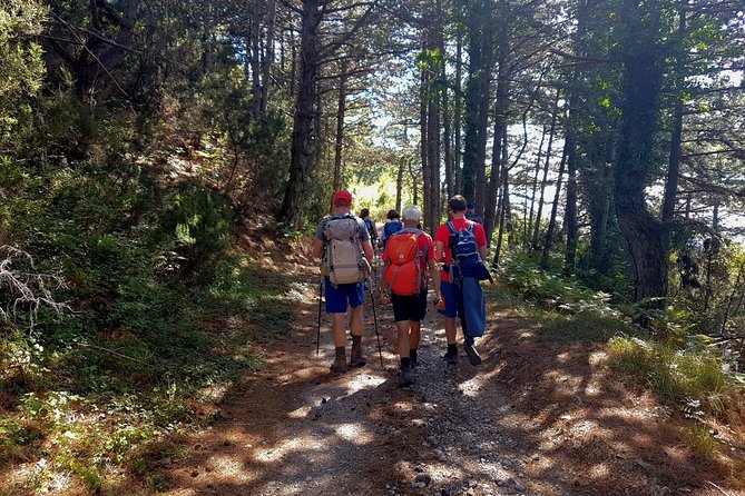 Hiking Vrmac peninsula with panoramic view on Kotor bay - FAQ