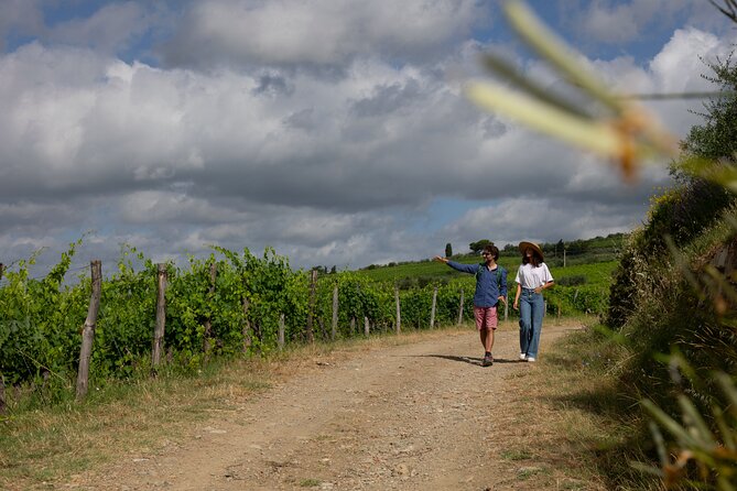 Hiking & Wine Tour Chianti Classico 3 Organic Wineries and Lunch - Sample Menu