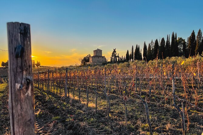 Hiking & Wine Tour Chianti Classico 3 Organic Wineries and Lunch - Additional Information