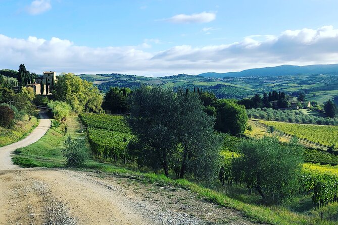 Hiking & Wine Tour Chianti Classico 3 Organic Wineries and Lunch - Customer Feedback