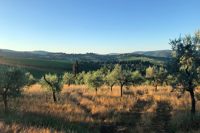 Hiking & Wine Tour Chianti Classico 3 Organic Wineries and Lunch - Frequently Asked Questions