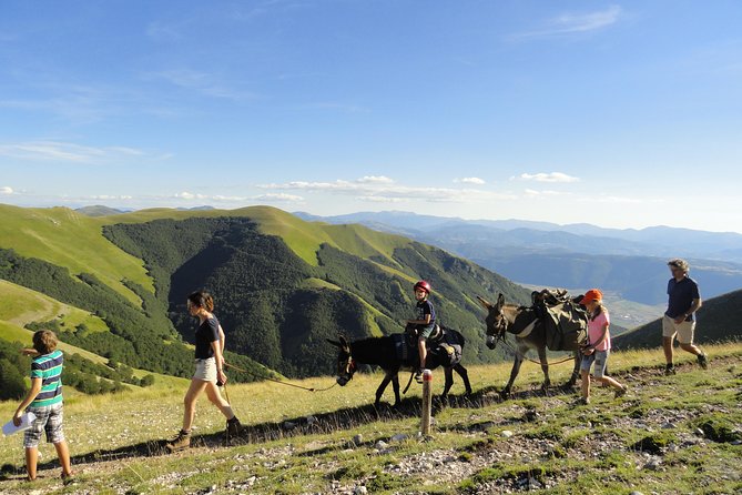Hiking with donkeys - The Itinerary and Experience Details