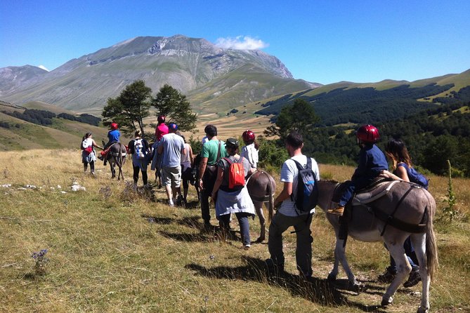 Hiking with donkeys - Practical Details and Value for Money
