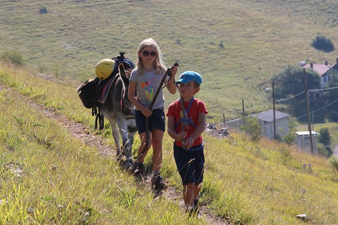 Hiking with donkeys - Who Should Consider This Tour?