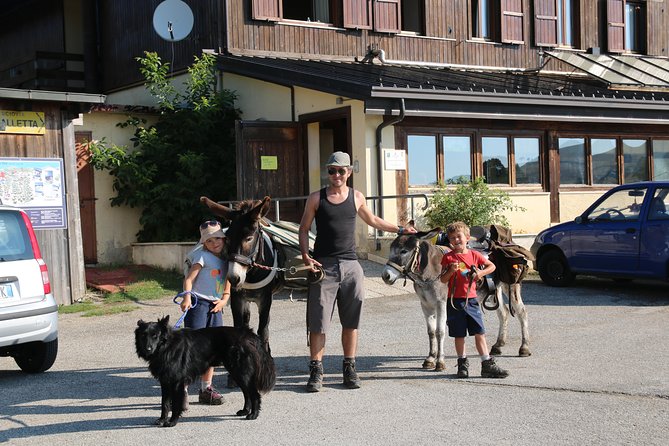 Hiking with donkeys - The Sum Up