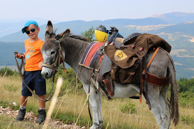 Hiking with donkeys - FAQs