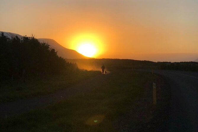 Hiking With Husky in Akureyri - Interacting With the Friendly Canines