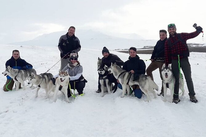 Hiking With Husky in Akureyri - Learning About the Husky Lifestyle