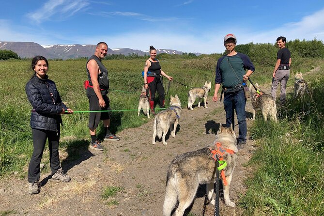 Hiking With Husky in Akureyri - Reflections on the Memorable Adventure