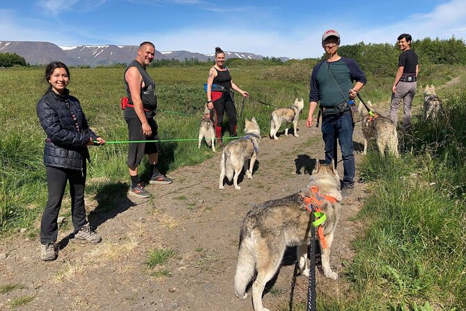 Hiking With Husky in Akureyri (Private) - Scenic Mountain Views and Woodland Exploration