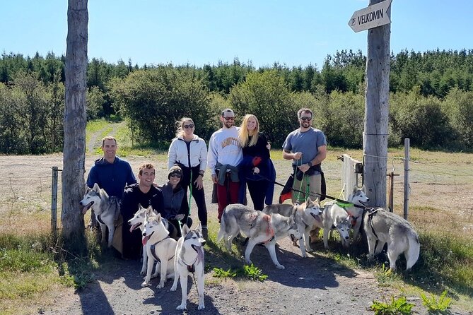 Hiking With Husky in Akureyri (Private) - Personalized Guidance and Local Insights