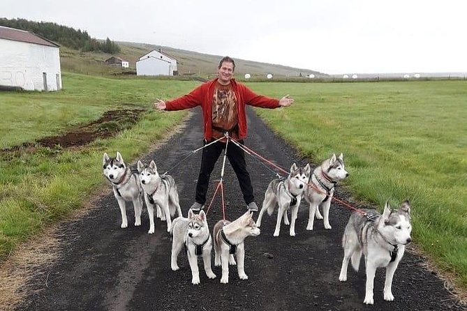 Hiking With Husky in Akureyri (Private) - Meeting and Pickup Arrangements